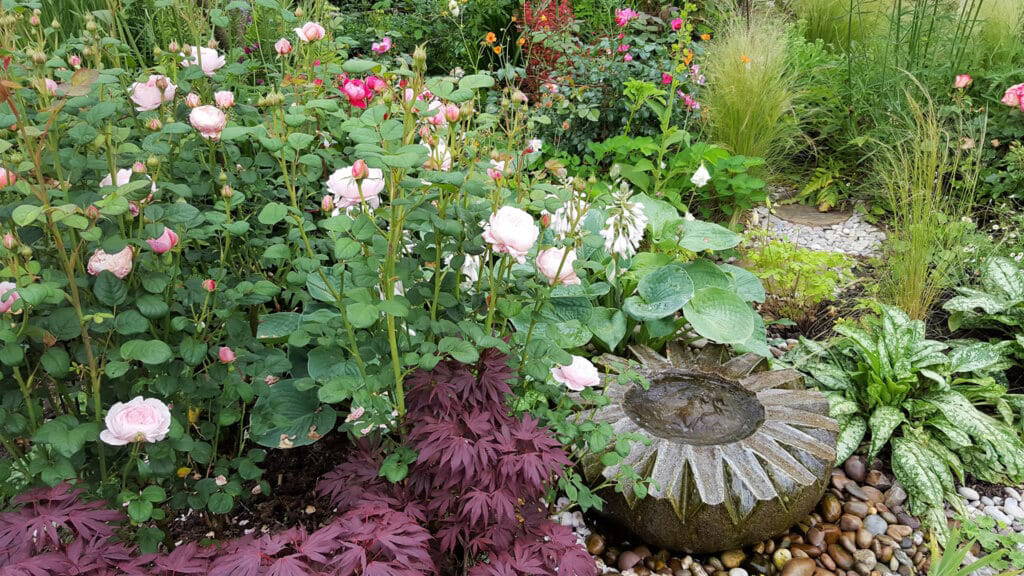 Growing Colours | Fine Art Garden Design