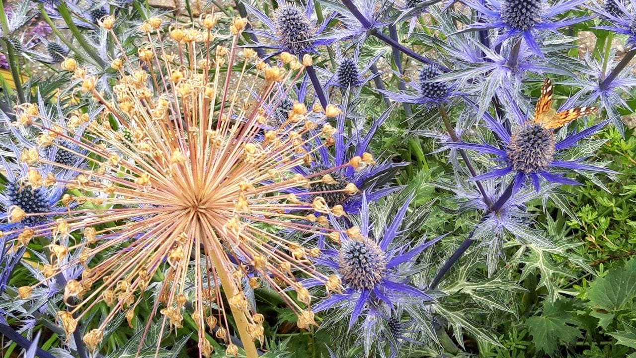 Gallery | Growing Colours